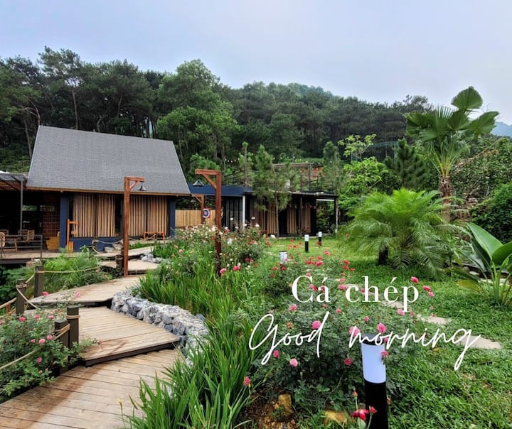 Fish House With Amazing Things! - Aéroport Hanoi - Nội Bài (HAN)