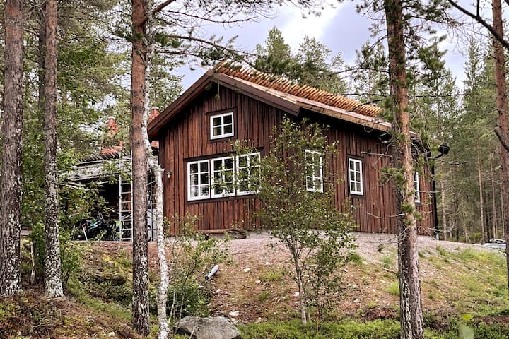 Fjällstuga Vid Sjö L Bastu I Båt I ÖPpen Spis - Sweden