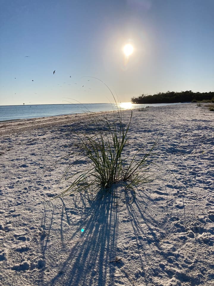 Cottage Near Bonita Beach - Bonita Springs, FL