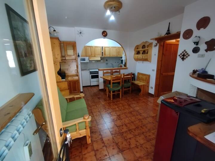 Mimosa - Tagliacozzo