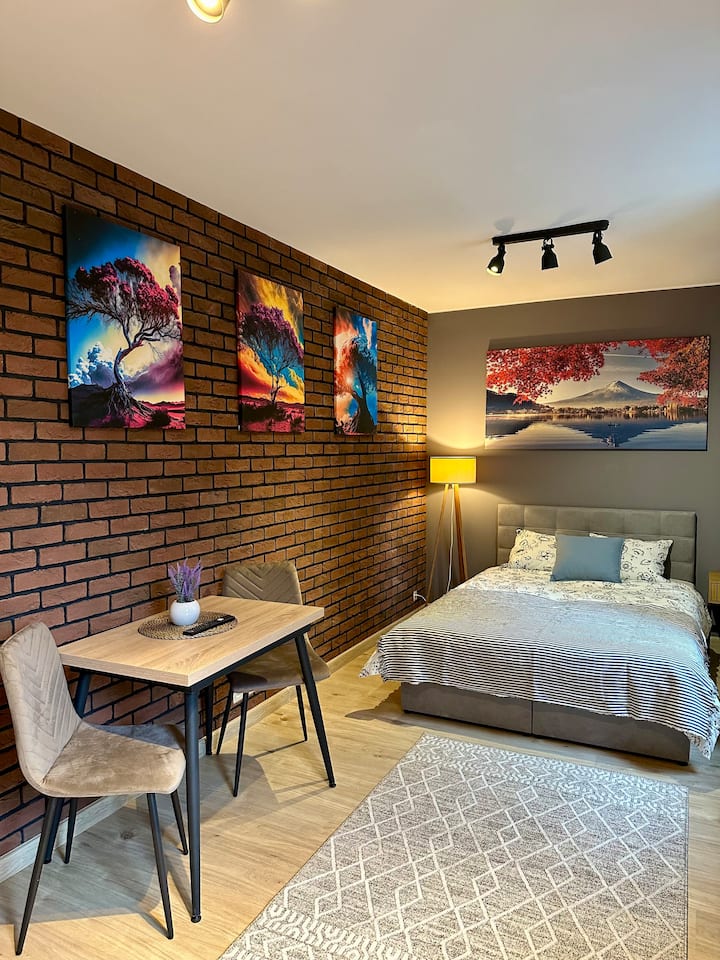 Apartament Superior 3 - Katowice