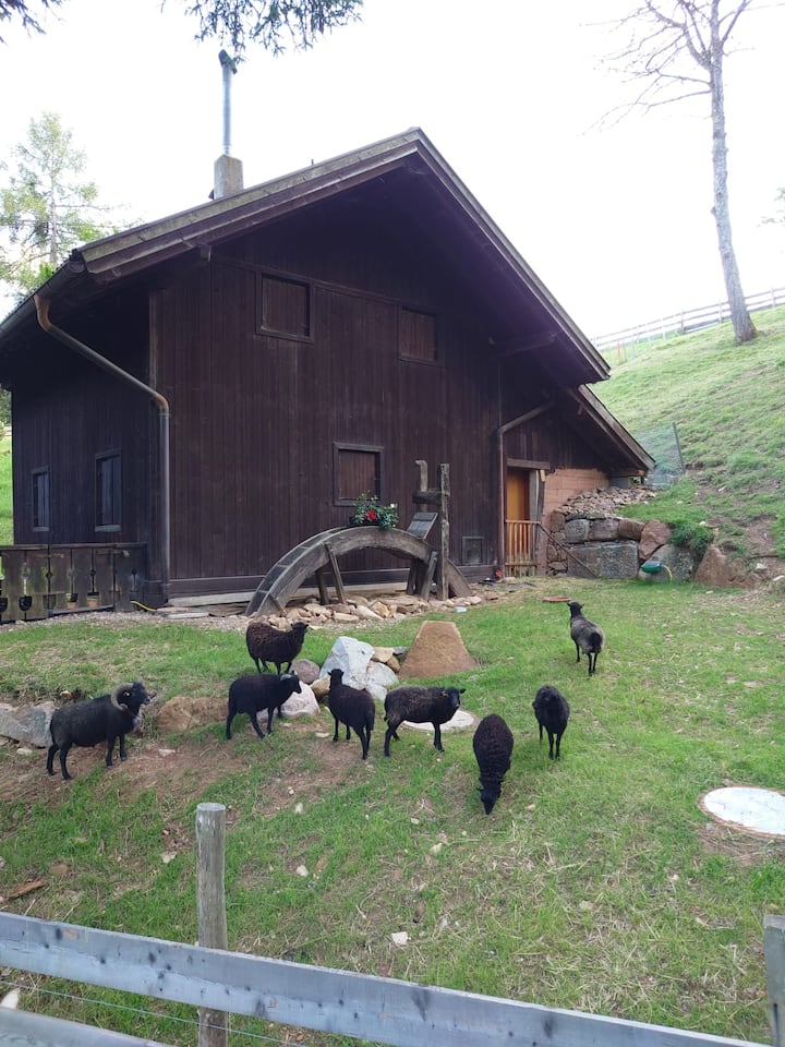 The Mill | Jenesien - Bolzano