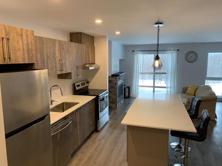 Loft Bromont Tout Meublé Et éQuipé - Bromont