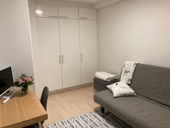 Spacious Room At Superb Location - Helsinki