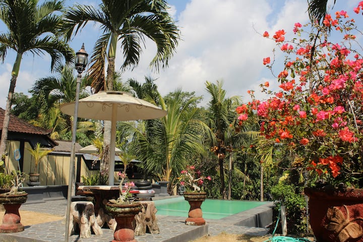 Selamat Datang Di Ola Homestay - Tabanan