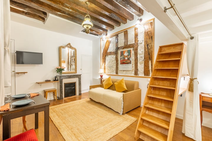 Hotel De Ville-seine River Apartment - Paris