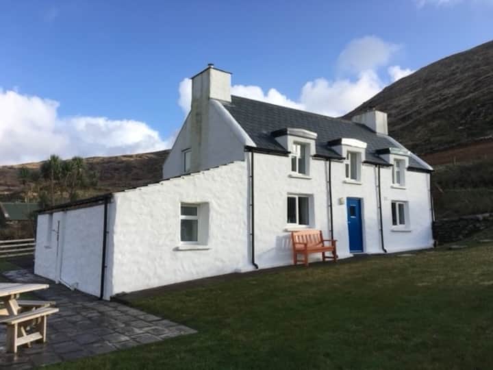 Kingdom Of The Hare - County Kerry