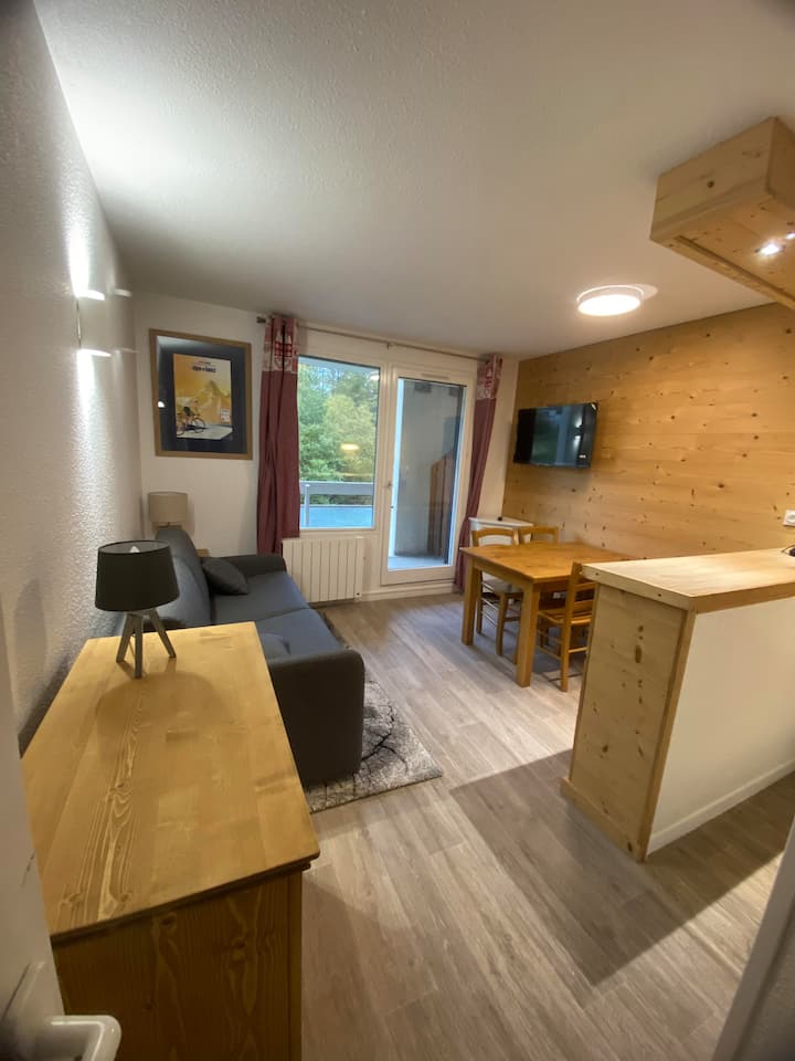 Agréable T2 :1/5p, Proxi Pistes - L'Alpe d'Huez