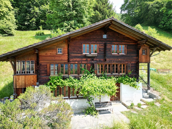 Lake View - Brienz