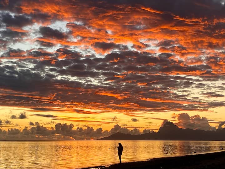 Sco Lodge Vous Attend. À Bientôt ! - Tahiti