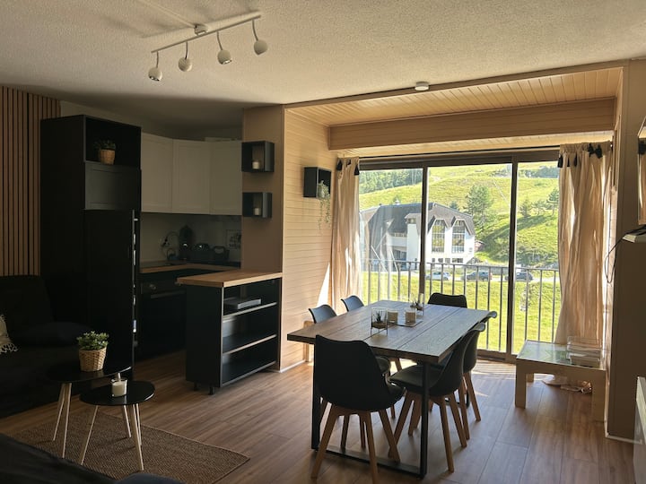 Appartement à 100m Des Pistes - Arrens-Marsous