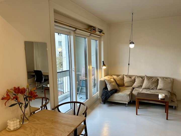Modern & Cosy Studio At Torshov - Oslo