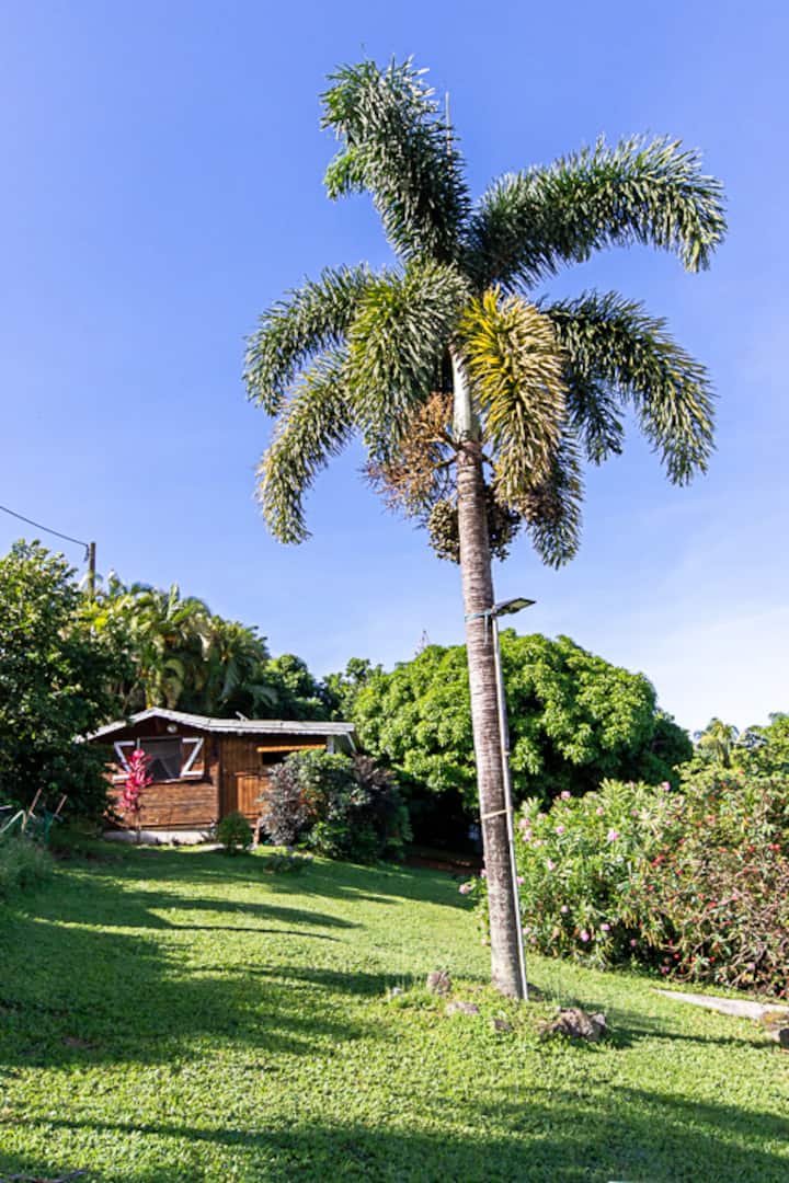 Le Mango - Le Morne Rouge