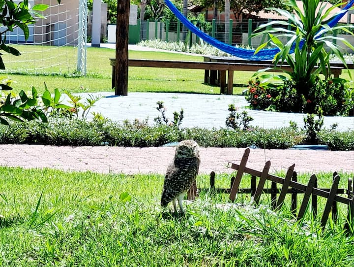 Lindo Apartamento Na Praia! - Florianópolis