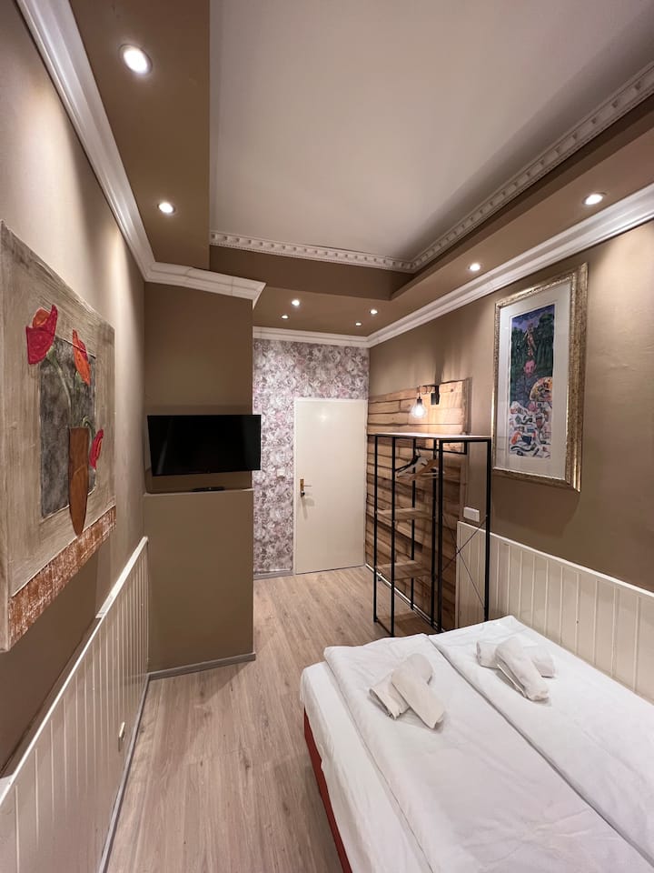 Central Serenity Cozy Double Room - Vienne