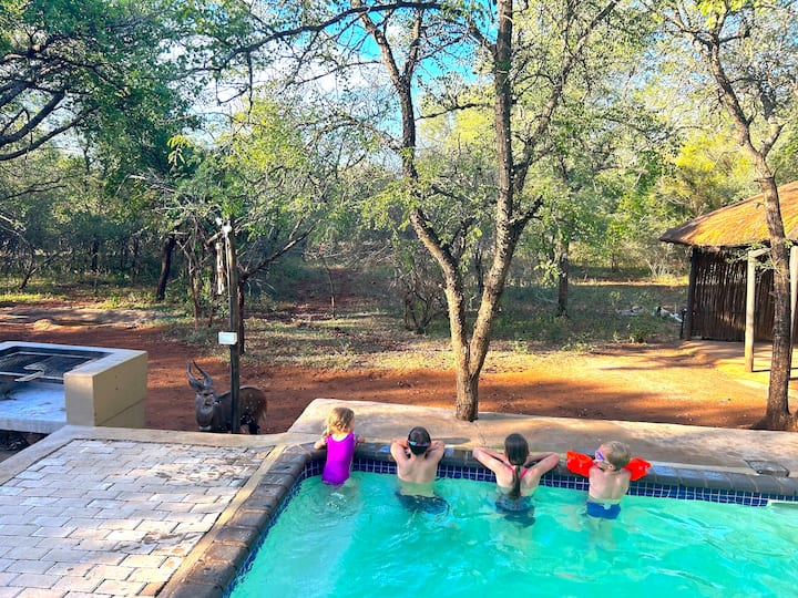 Athule House - Marloth Park
