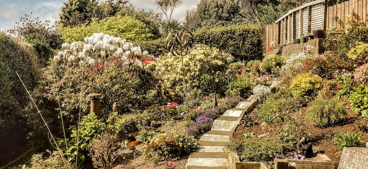 Comfy For All - Wellington, Nueva Zelanda