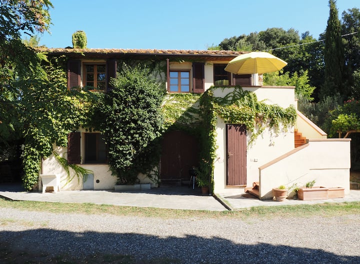 Free,special View,6beds,garden,near Dogbeach,free! - Cecina