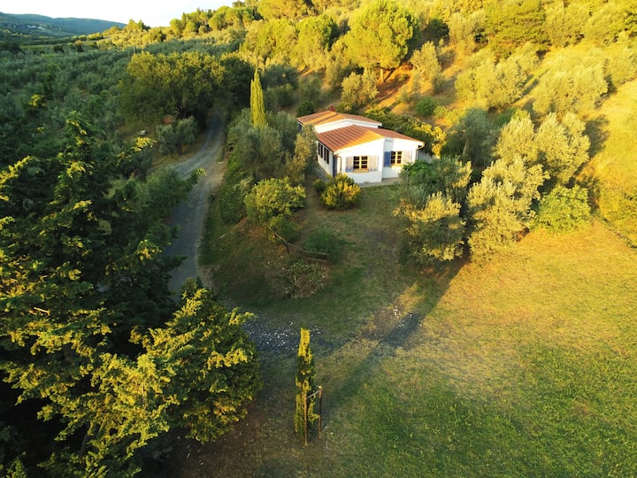 Seaside At 15km Far.biggarden.wellcome Dogs! - Cecina