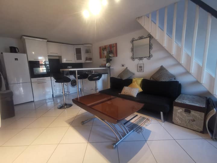 Duplex House Paris*cdg*astérix - Chantilly