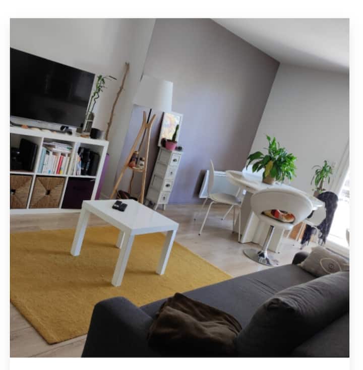 Appartement Confortable T2, 55m2 - Cestas
