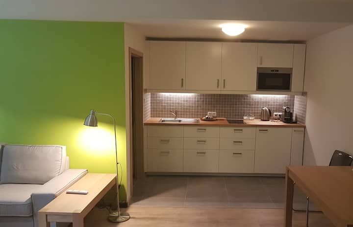 Green Flat Near Prague Castle - Prague