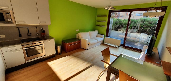 Modern Flat With Terrace - Praag