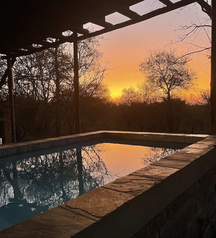 The Wild At Your Doorstep - Marloth Park