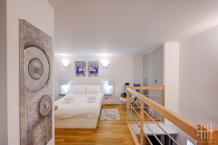 Le Corail - Duplex Hyper Centre - Climatisé - Wifi - Tours