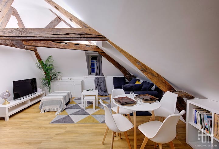 Appartement Climatisé - Wifi - 100 M Gare - Tours