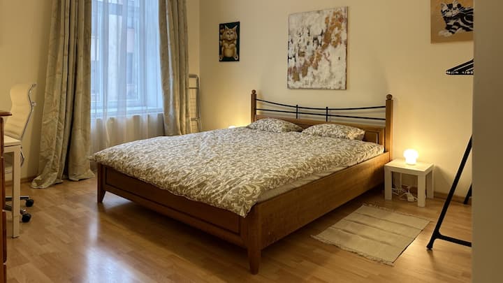 Big Cozy Room In Huge Central Apartment #1 - Riga