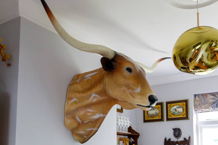 The House Of The Happy Horny Cow - Tottenham Hotspur Stadium