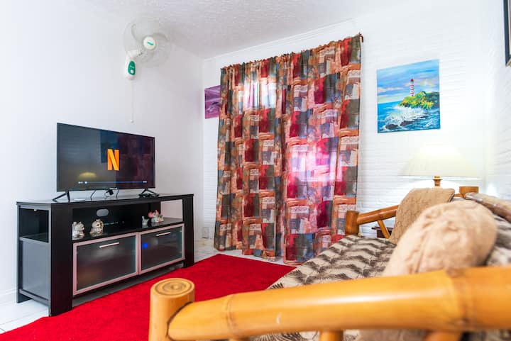 Cozy Boutique Apartment In Kingston, Jamaica - Kingston