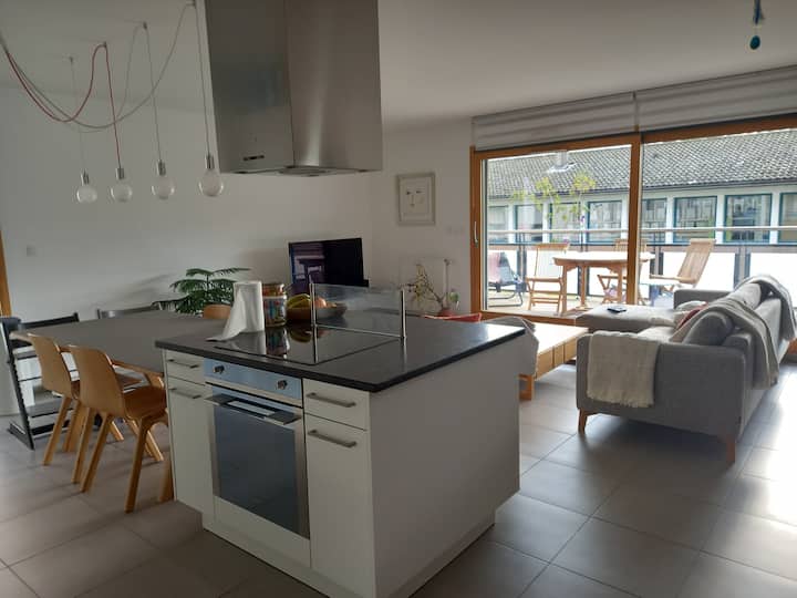 Appart 3 Ch, Terrasse, Au Centre - Nyon