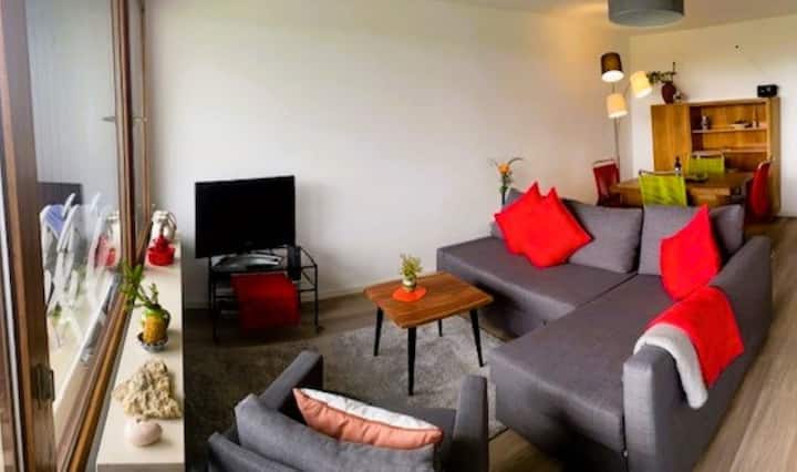 Black Forest Apartment - Oppenau, Deutschland