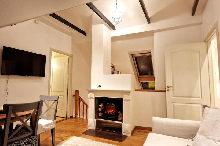 Tyzenx Luxury Vilnius Apartment - Vilnius