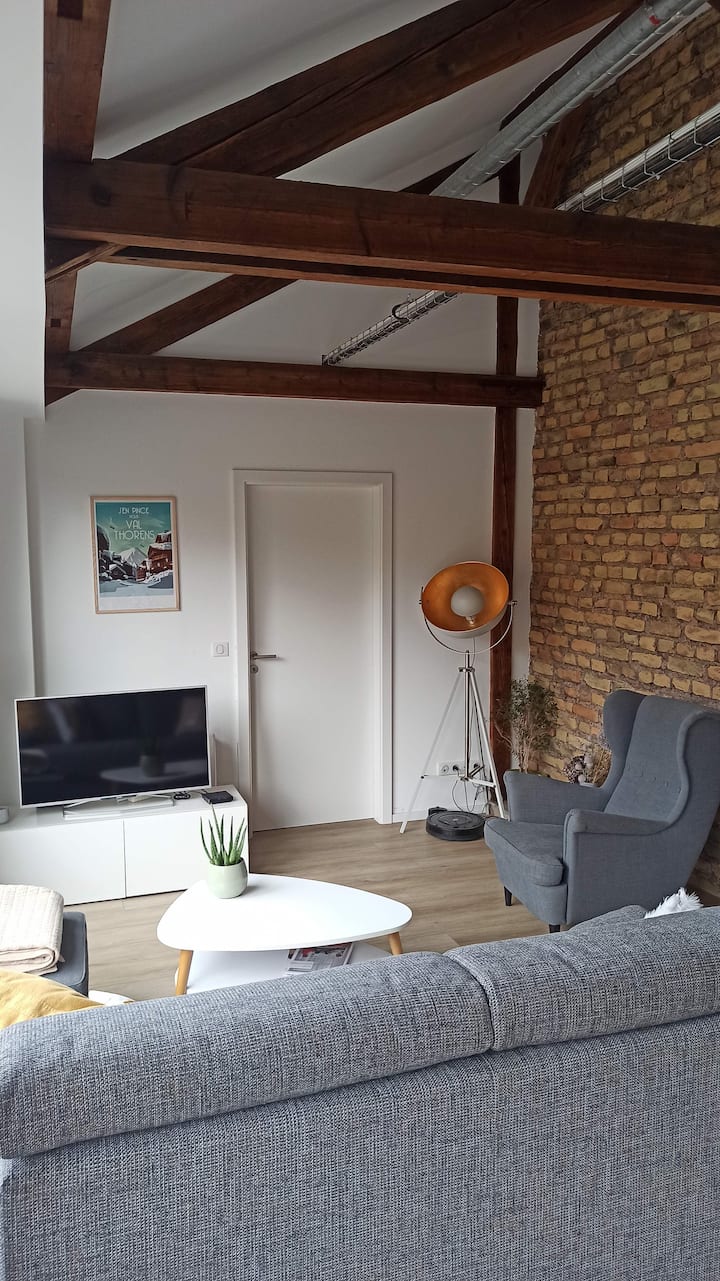 Appartement 70m2 Et Parking à 5 Min Petite France - Strasbourg