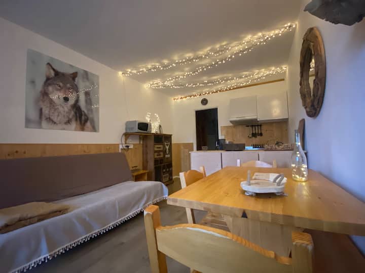 Appartement Cosy Au Pied Des Pistes 25 M2 - Villard-de-Lans