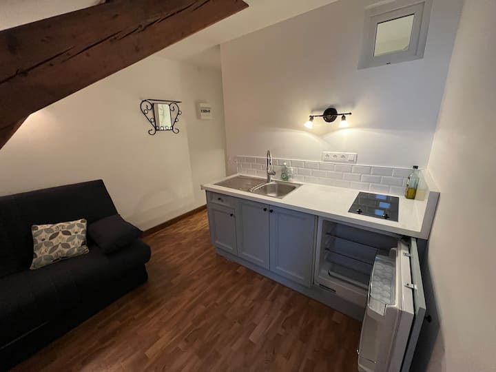 Studio Proche Gare Direct Genève - Annemasse