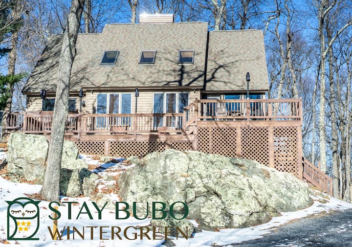 6 Min To Ski! Fire Pit Movie Room Fireplace Office - Wintergreen Resort, VA