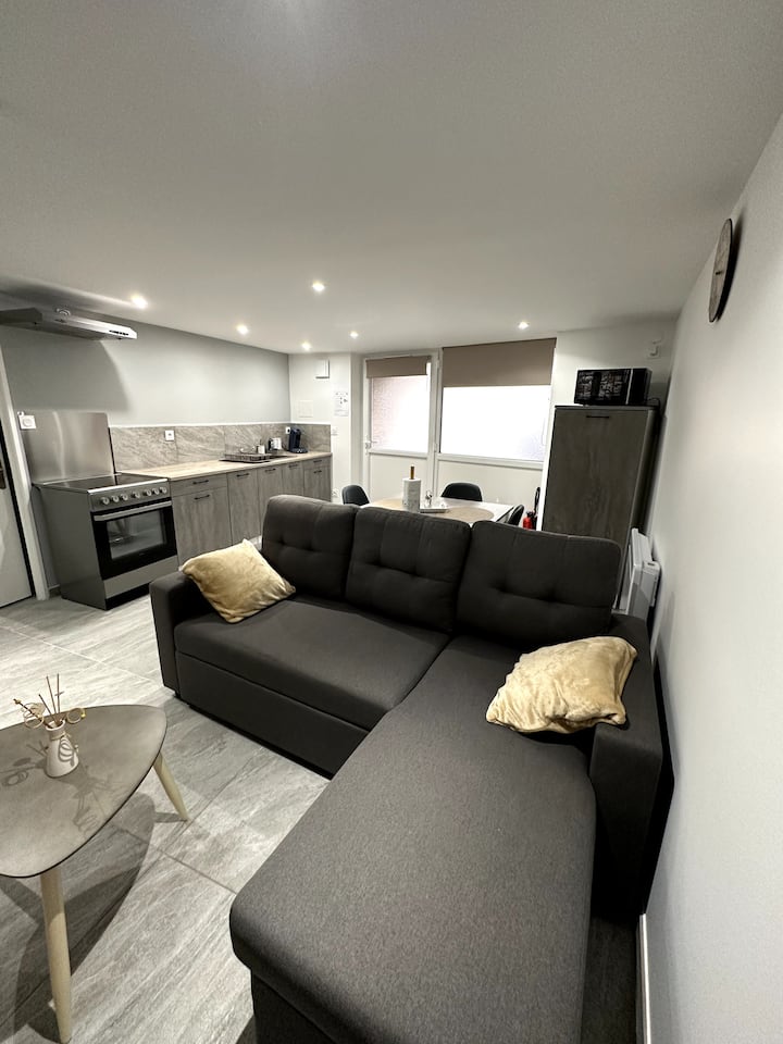 Appartement T2 Spacieux - Lagnieu