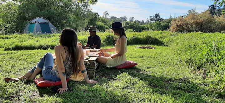 Stargazer Vegan Campsite - 나이스나