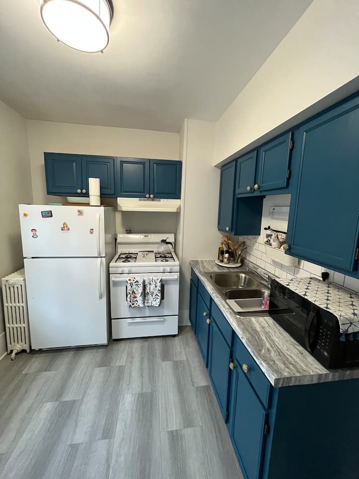 Explore Buffalo From A Large 1 Bd/ba Apartment! - Buffalo, NY