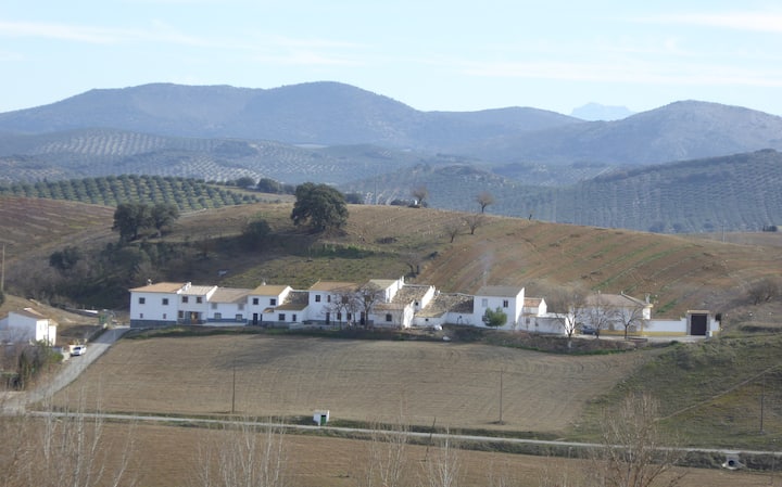 Number 22 - Alcalá la Real