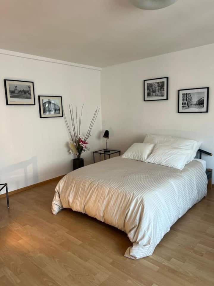 Basel Schweiz Apartment - Basilea