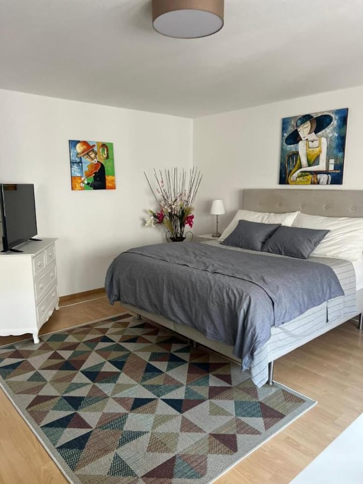 Basel Schweiz Apartment - Basel