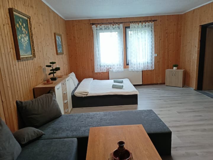 Apartmán 1b, 2+1 U Klínovce - Fichtelberg