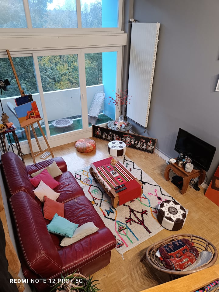 Duplex Jardin Des Plantes Centre - Le Mans