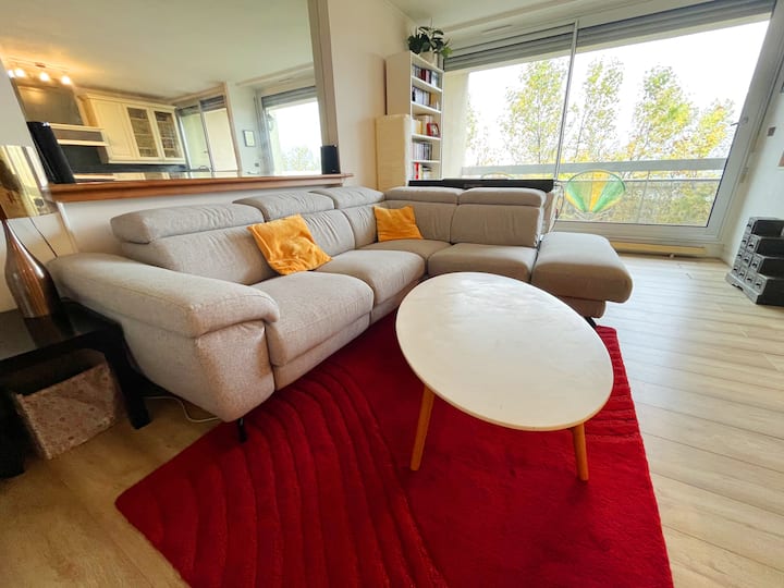 Large Comfortable Flat - Pantin