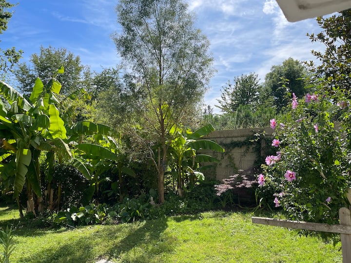 Un Brin De Campagne En Ville - Lac Léman